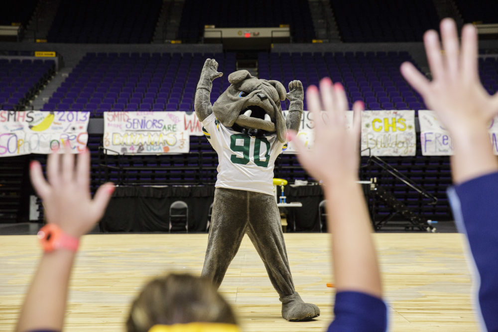 Mascots – How to Become a Mascot - Varsity.com