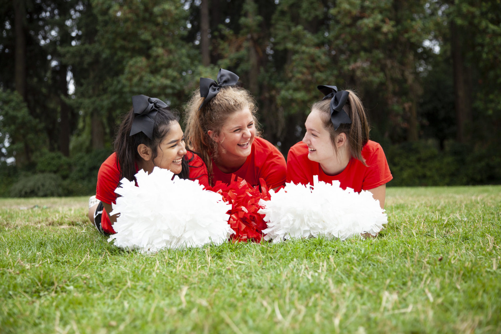 Cheer & Spirit Pom Poms: Varsity Poms - Varsity Spirit
